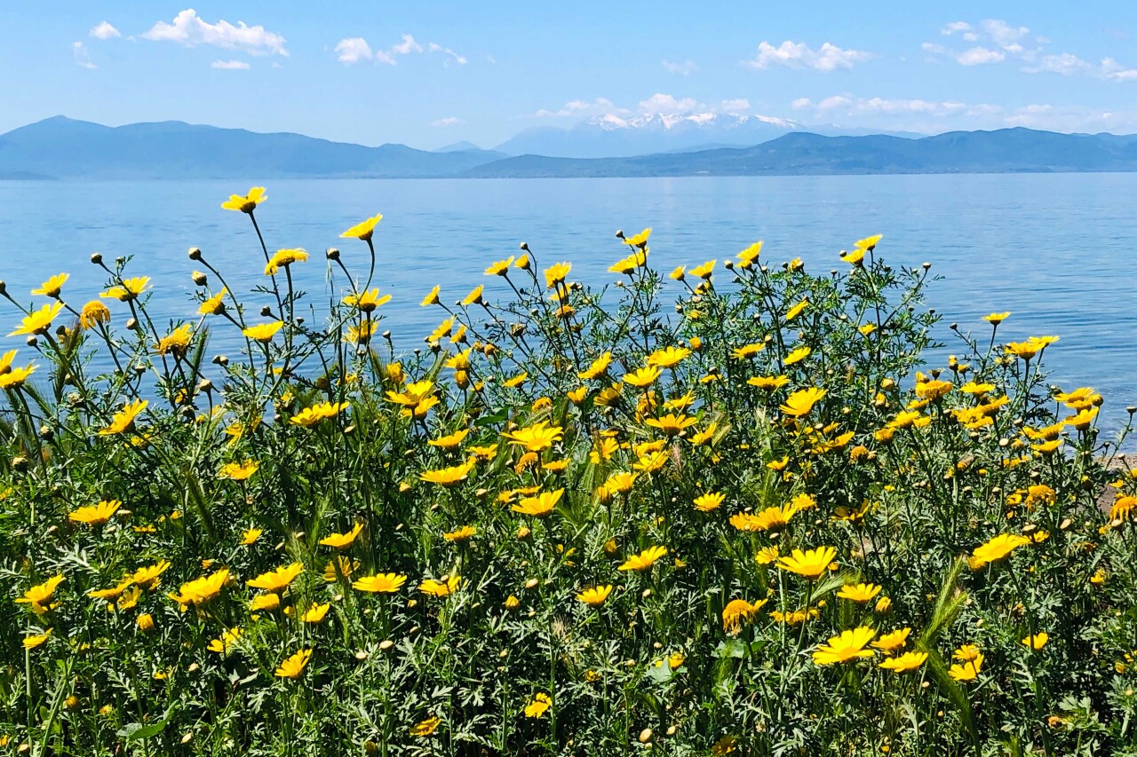 ΓΙΑΤΙ ΕΠΙΛΕΓΟΥΜΕ ΝΑ ΠΕΡΑΣΟΥΜΕ ΤΟ ΦΕΤΙΝΟ ΠΑΣΧΑ ΣΤΗ ΒΟΡΕΙΑ ΕΥΒΟΙΑ ...